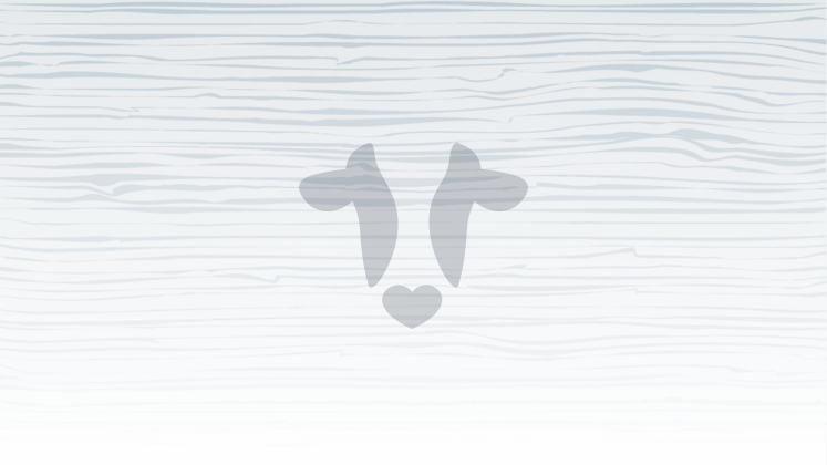Easy and Healthy Dairy Recipes | U.S. Dairy