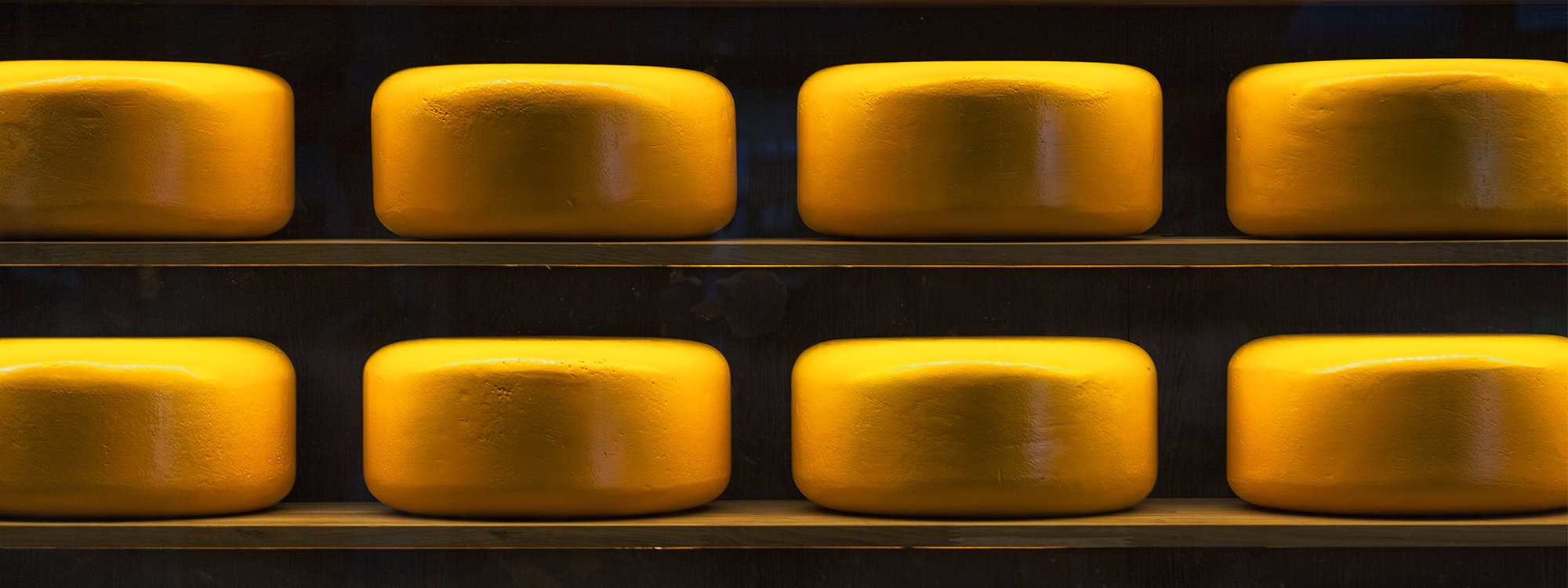 What Is Cheese? Ingredients In Cheese | U.S. Dairy