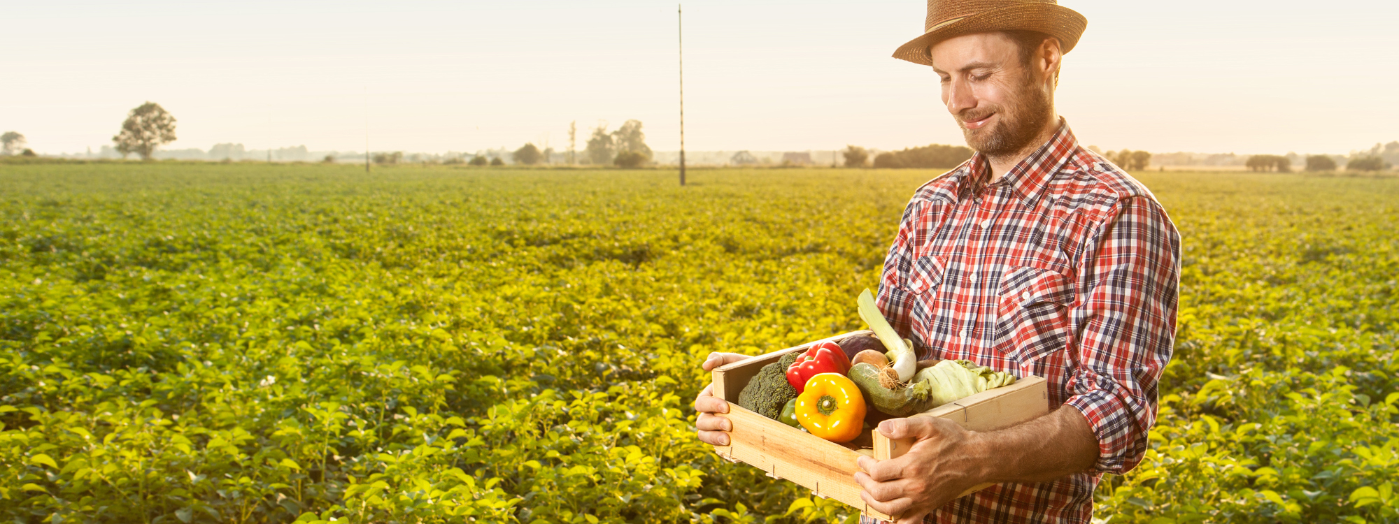 Farm-to-Table: What is Farm-to-Table? | U.S. Dairy