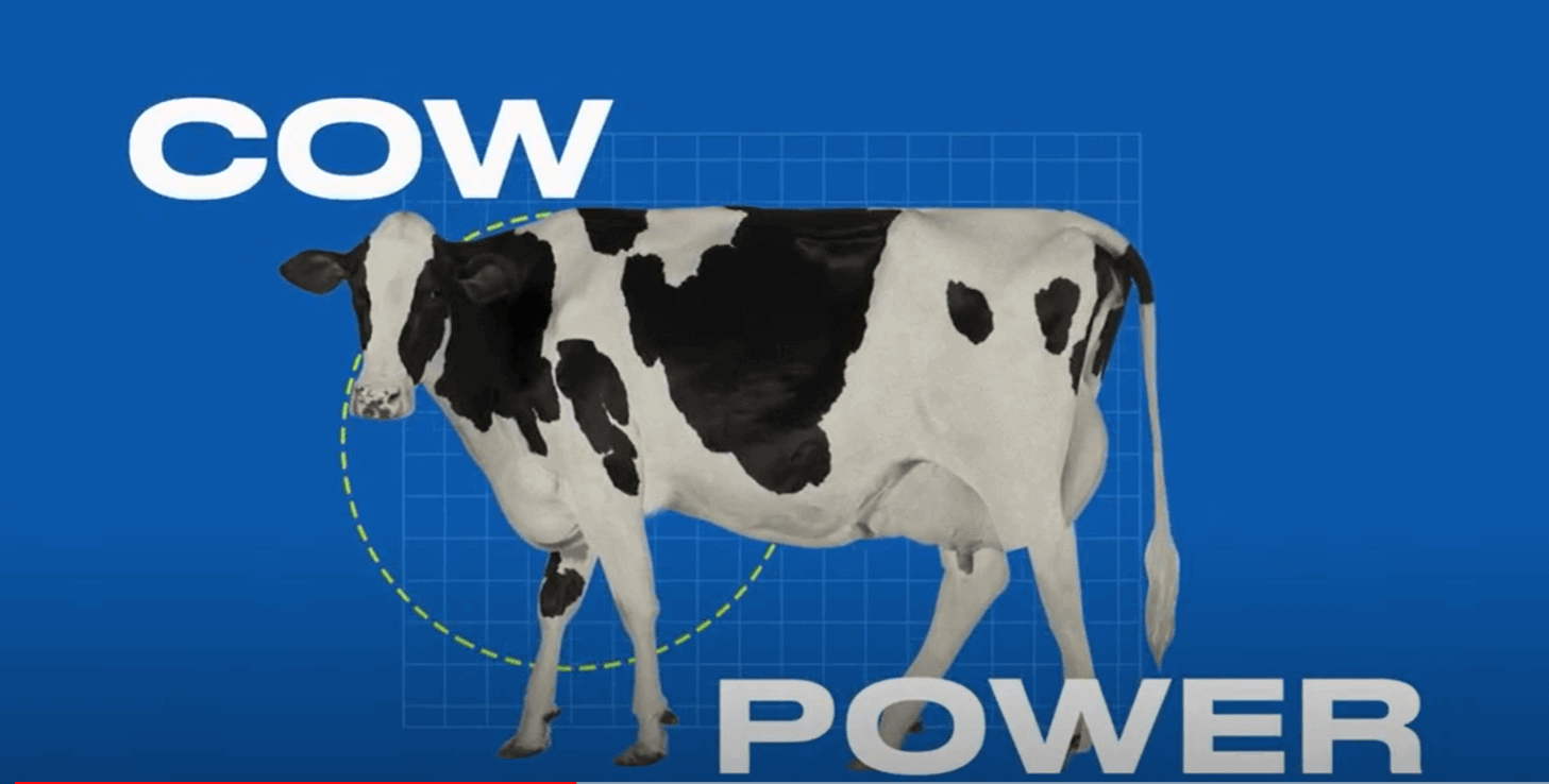 Cow Power: Dairy’s Renewable Energy | U.S. Dairy