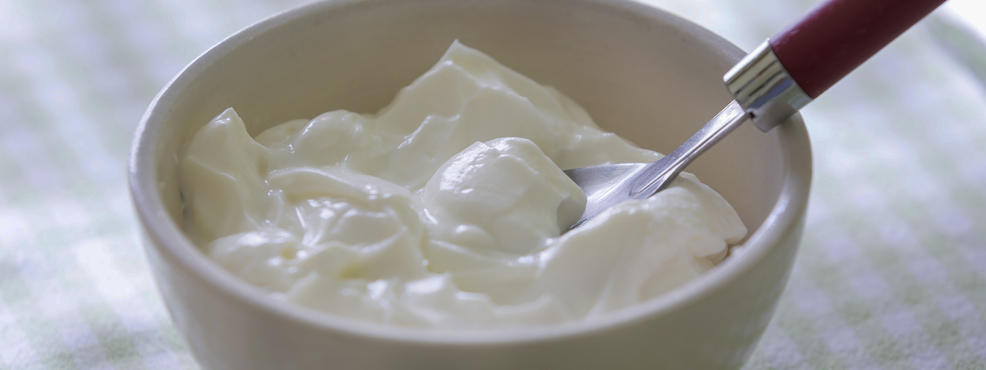 What Are Probiotics? | U.S. Dairy