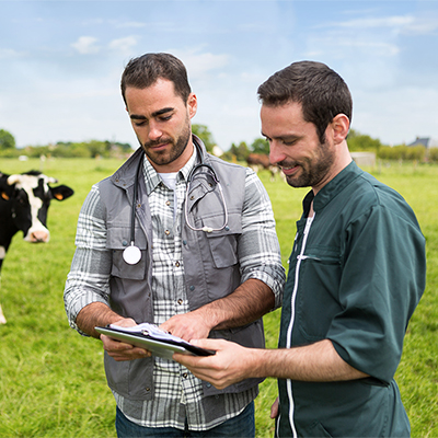 Future Farmers Focus on Tech, Health & Wellness | U.S. Dairy