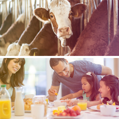 Dairy as a driver of the sustainable development goals | U.S. Dairy