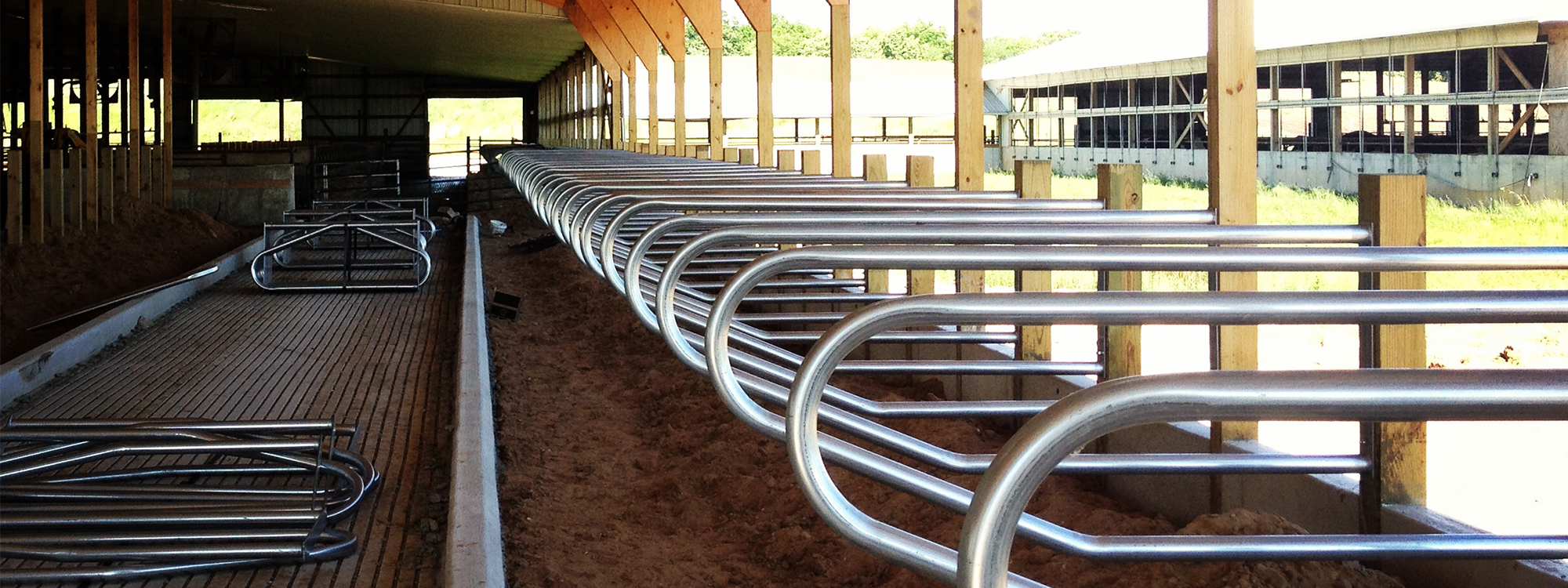 Cow Comfort Comes First in Dairy Barns | U.S. Dairy