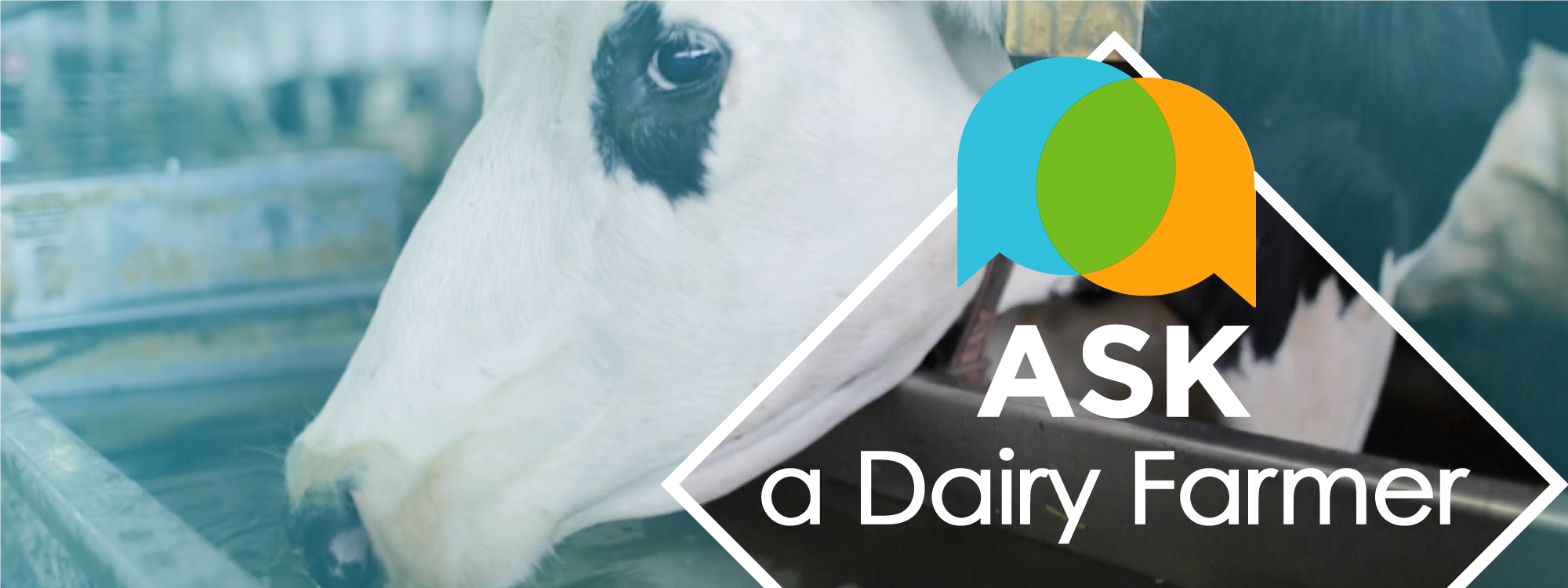 Ask a Dairy Farmer How Do Farmers Reuse Water | U.S. Dairy
