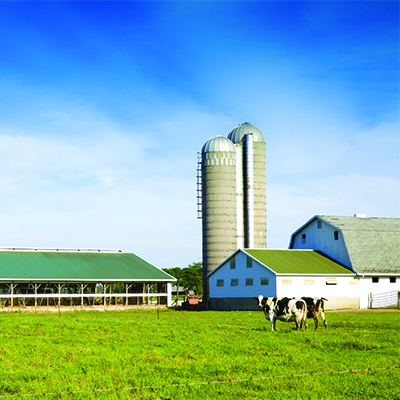 Modern Dairy Farms - Life on a Dairy Farm | U.S. Dairy
