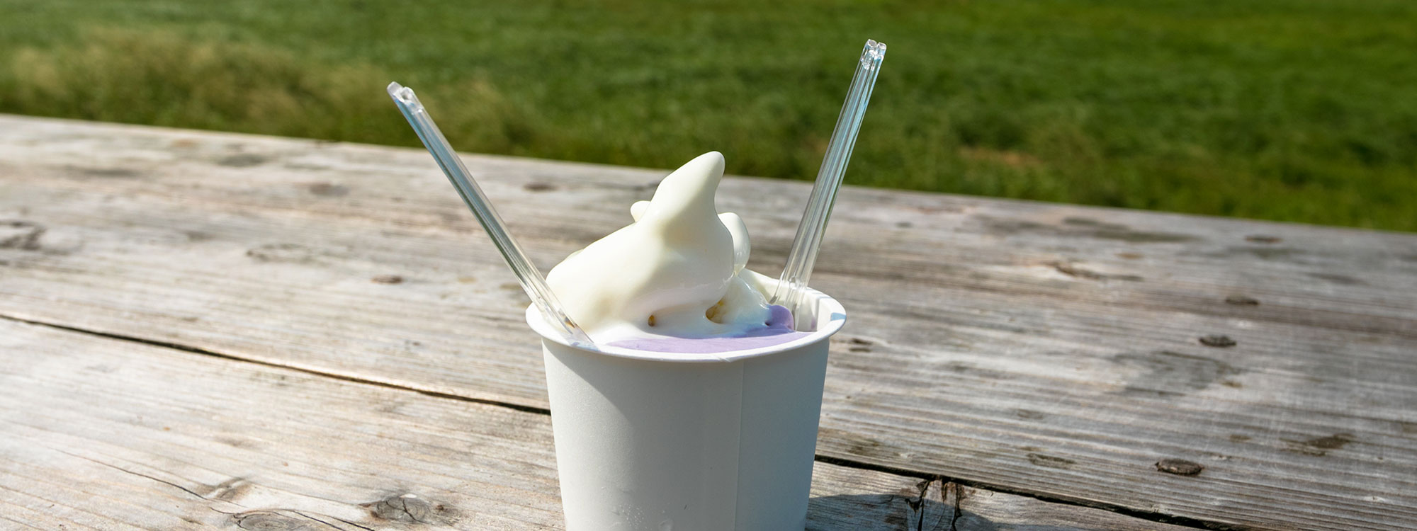 Ice Cream Helps Dairy Farm Put Energy on the Grid | U.S. Dairy