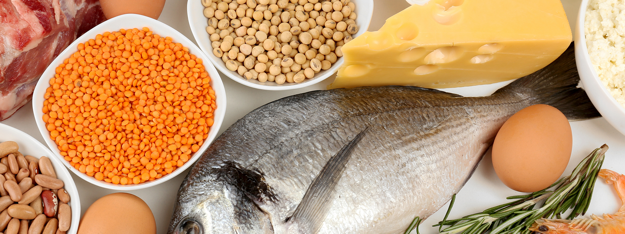 What Foods Have Protein? | U.S. Dairy