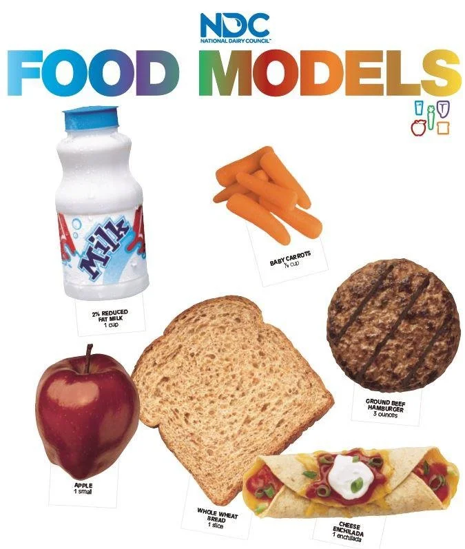 Milk And Dairy Food Group