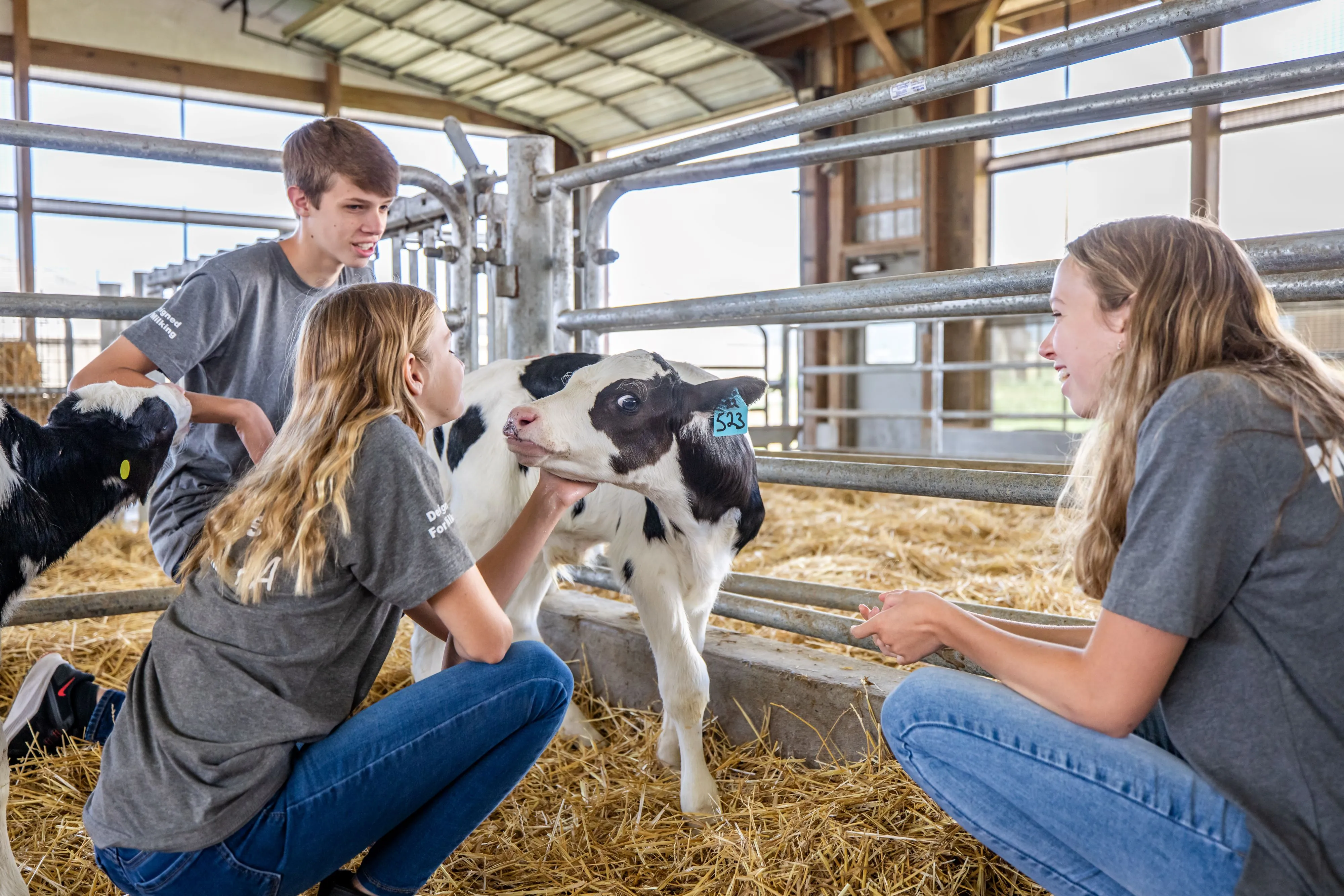 How Dairy Farmers Care About Animal Welfare | U.S. Dairy