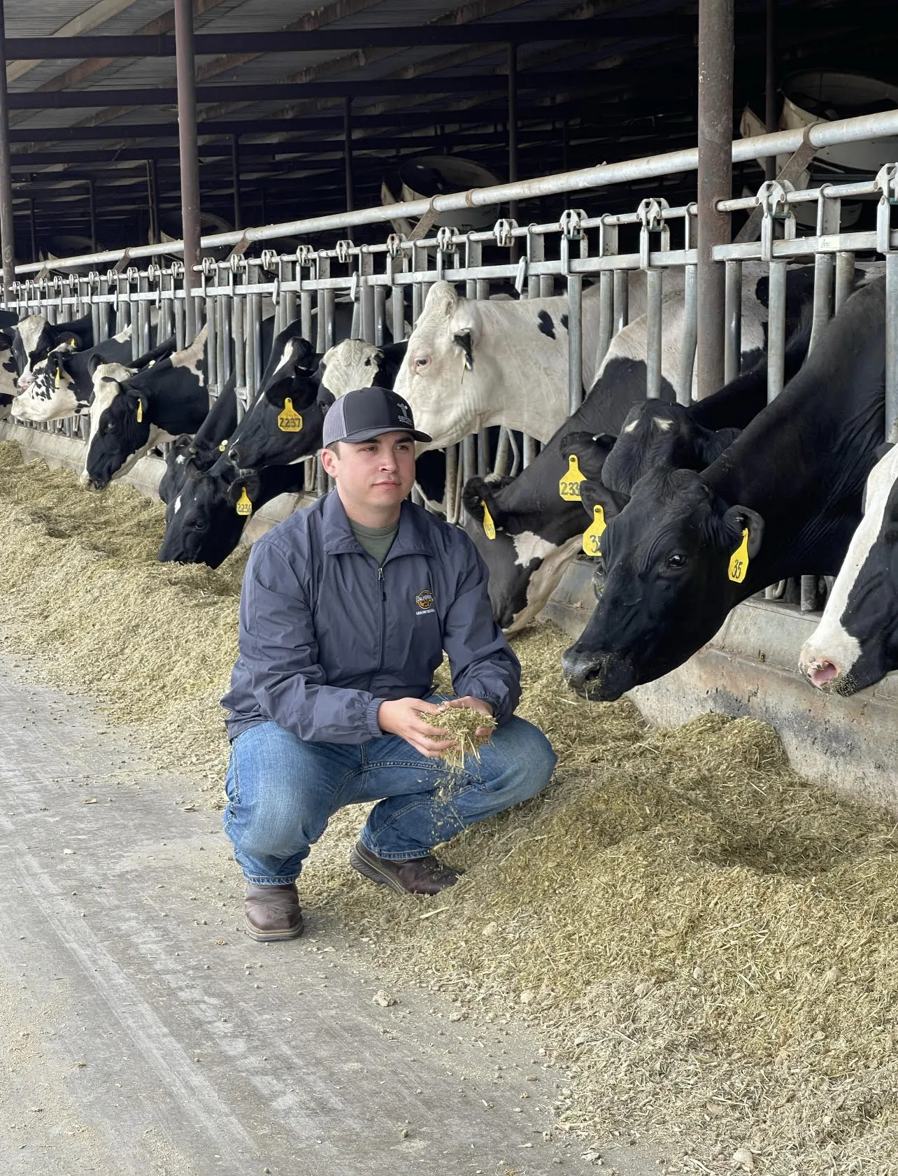 How Dairy Farmers Care About Animal Welfare | U.S. Dairy
